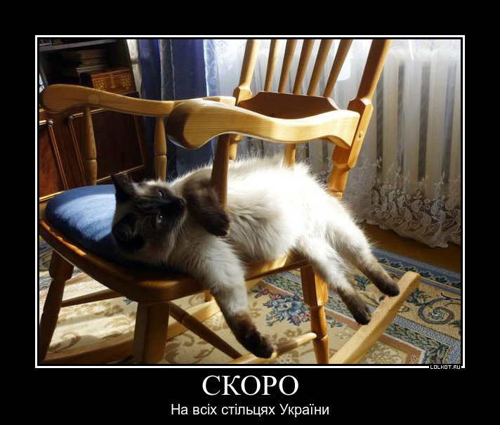 Скоро | Лолкот.Ру